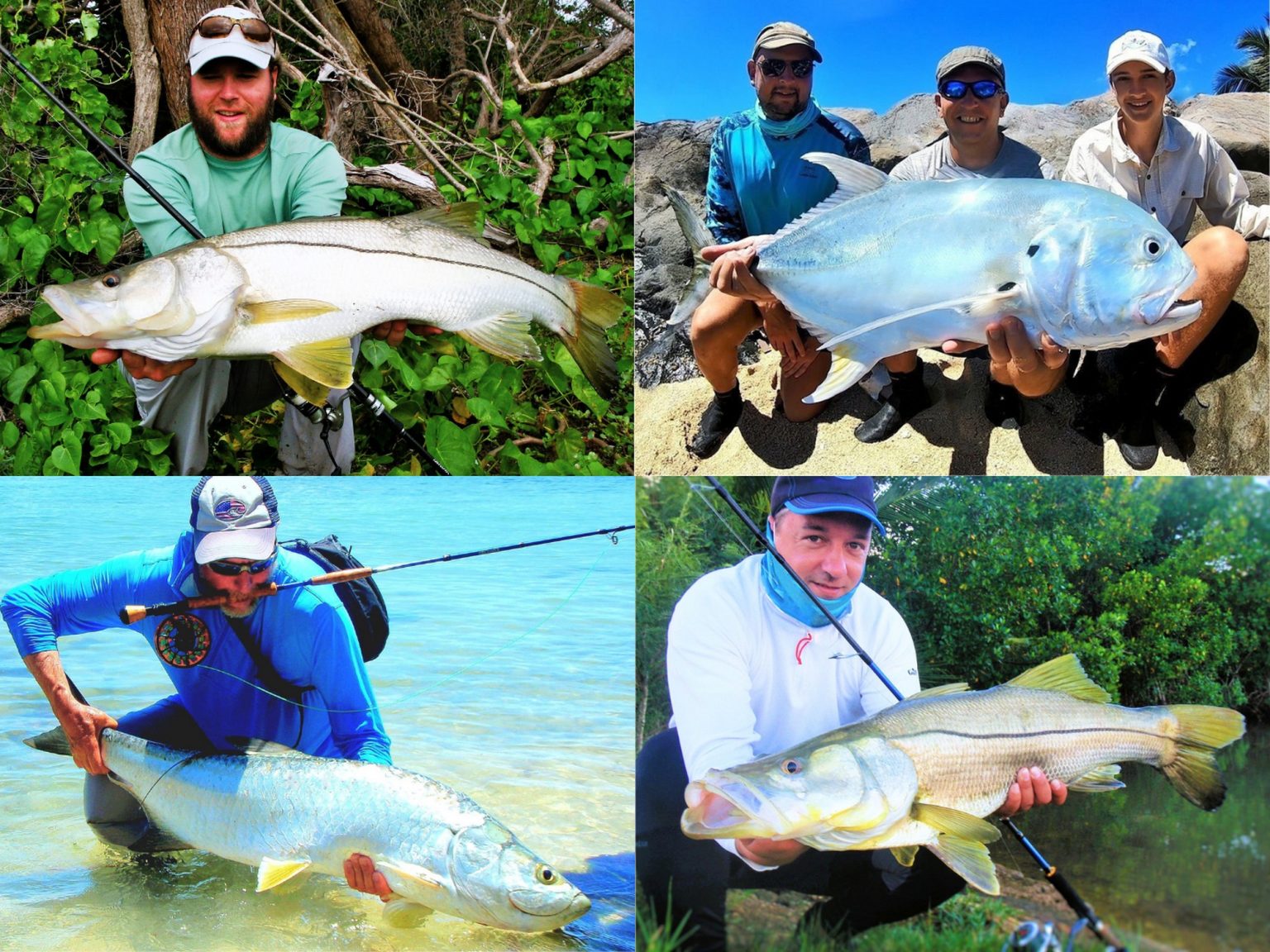 Exotic Fishing in French west Indies (Guadeloupe) – Gavin LEBRETON ...