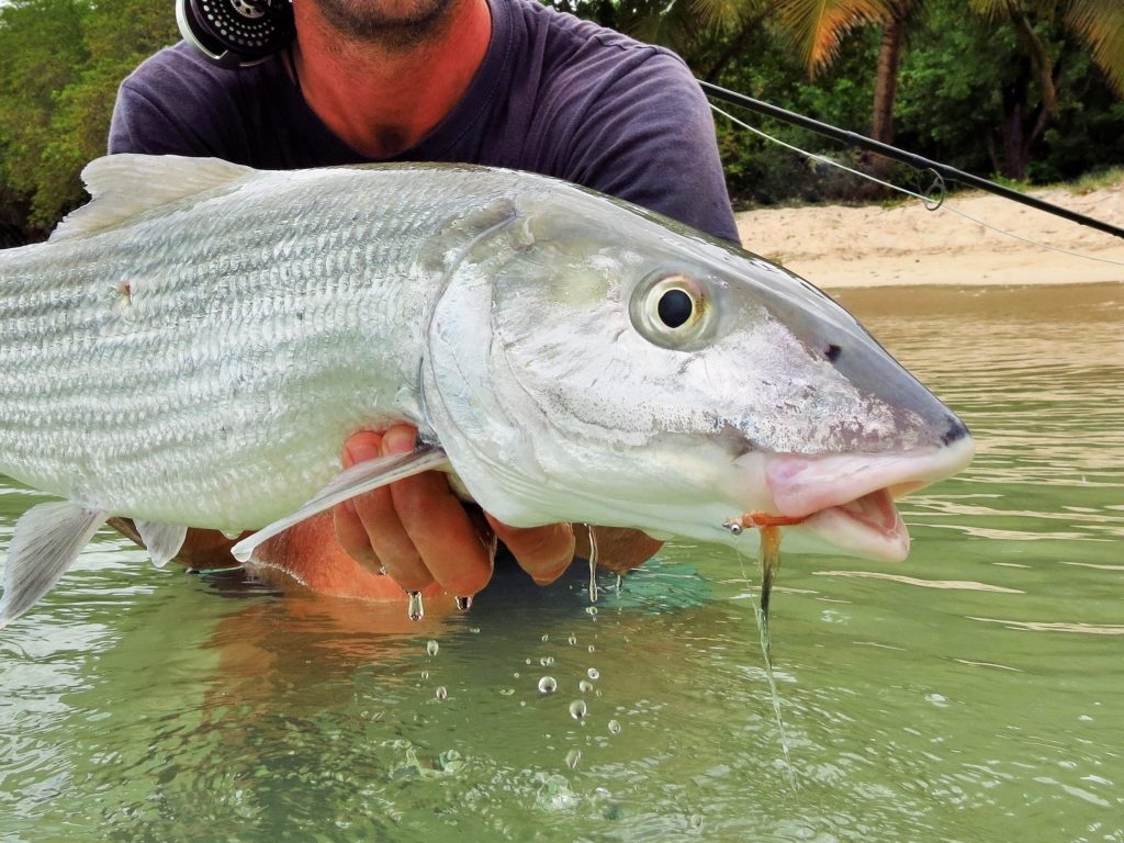 FLY FISHING FOR BONEFISH ON SIGHT ON THE MAGNIFICENT FLATS OF ...
